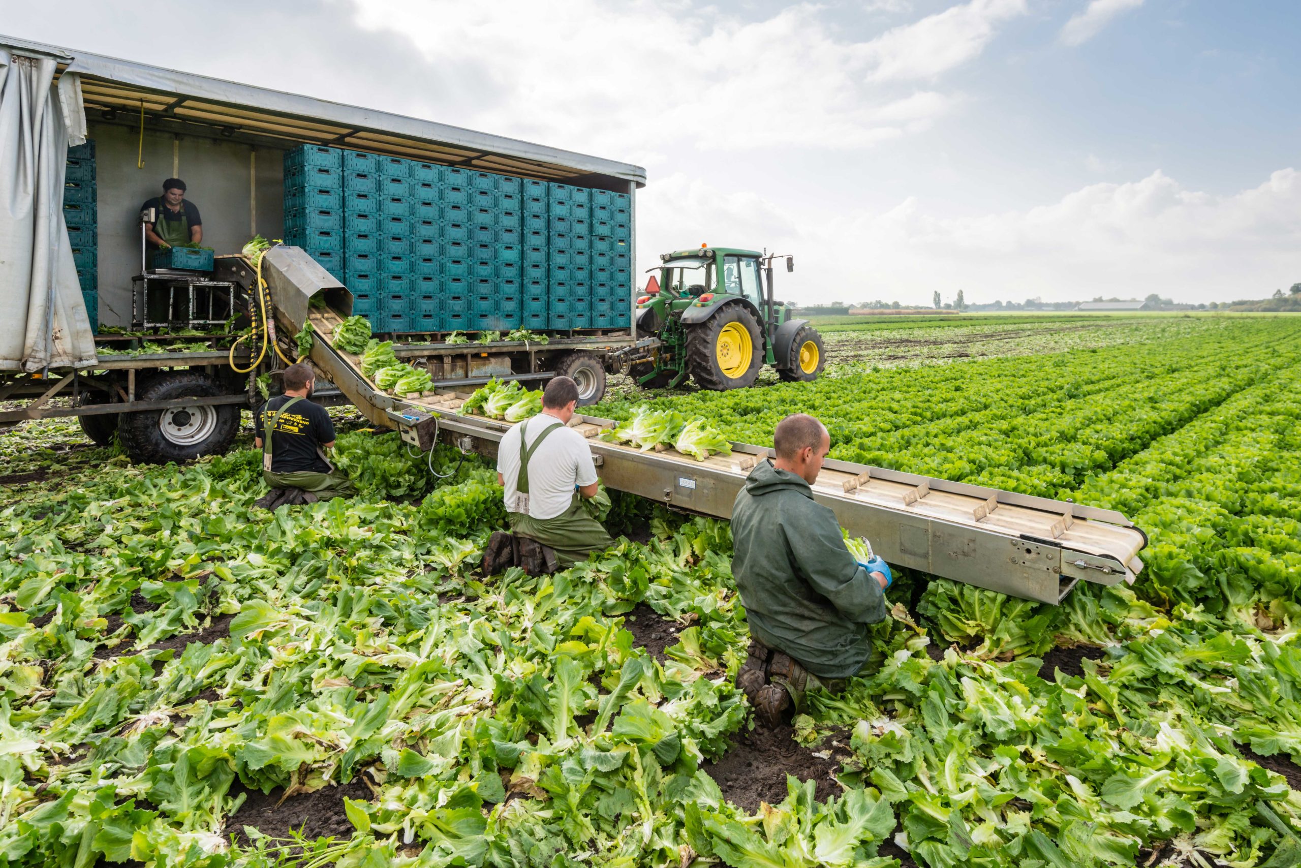 Humidity Control – Keeping Crops Fresh From Farm To Table